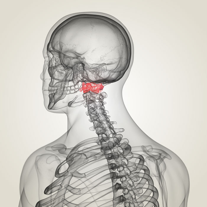 Schedule – Optimal Spine & Sport Dimensions