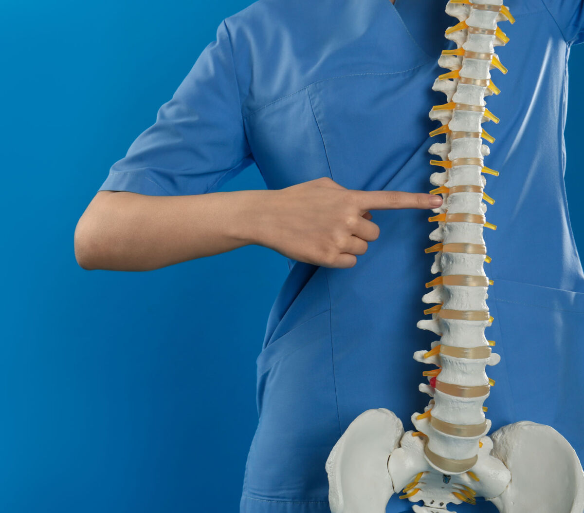 Optimal Spine & Sport Dimensions – Chiropractor in London: Chiswick ...